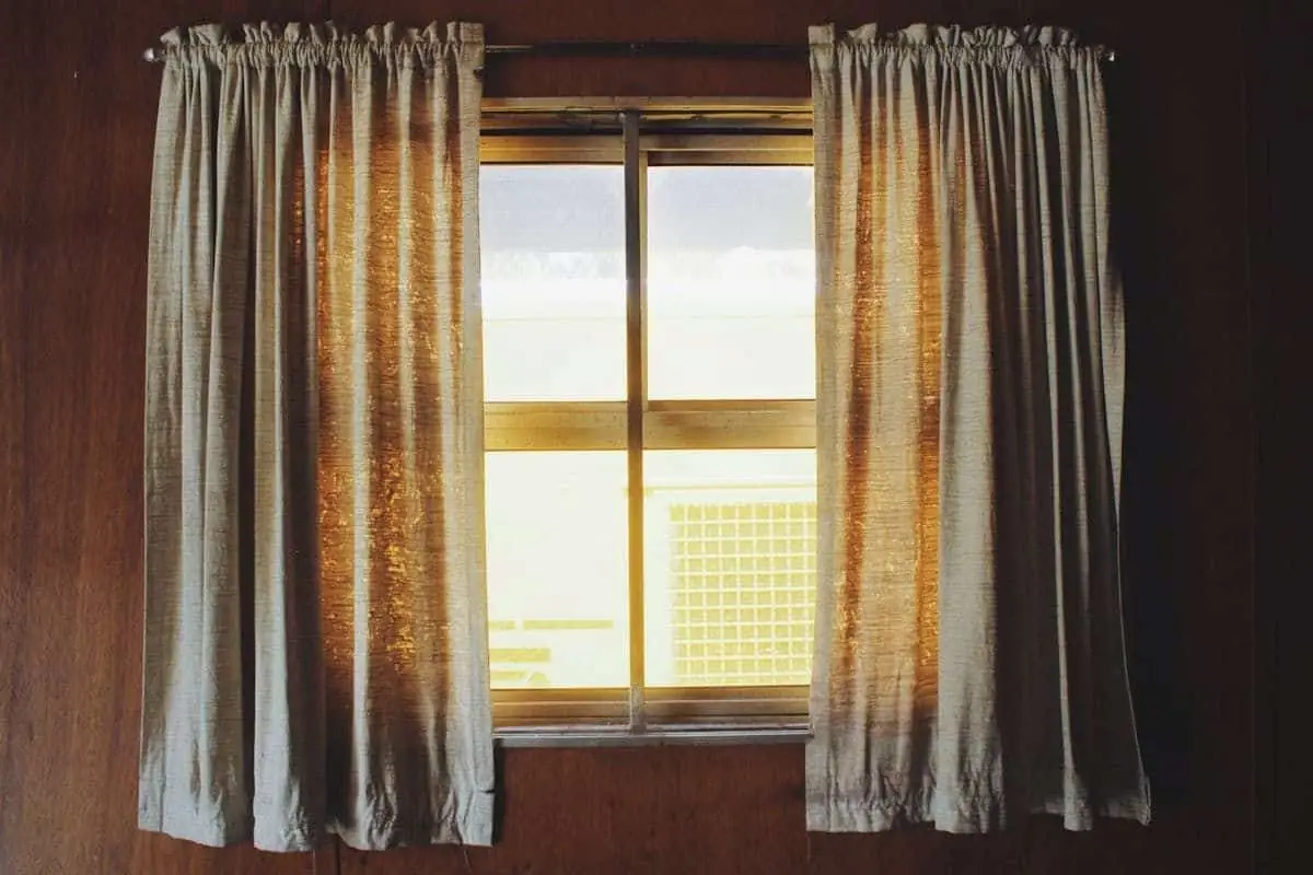 Understanding the Window of Tolerance